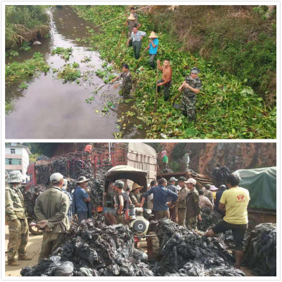 干干净净迎小康，清清爽爽过新春 —红河州全面打响2020年农村人居环境综合整治 春季行动战役_云南省农业农村厅